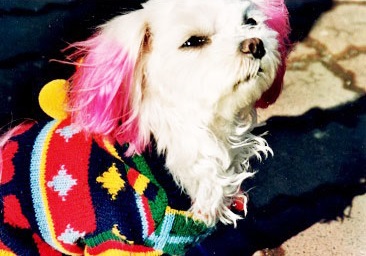 Life is Art with Tae／イラストレーター Tae